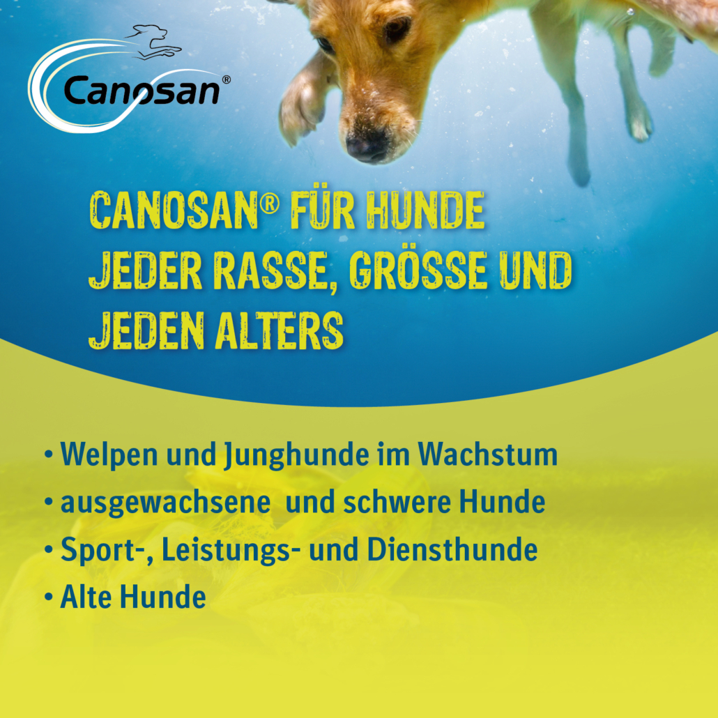 Canosan®Kautabletten für die Gelenkgesundheit bei Hunden 30 Tabletten ...