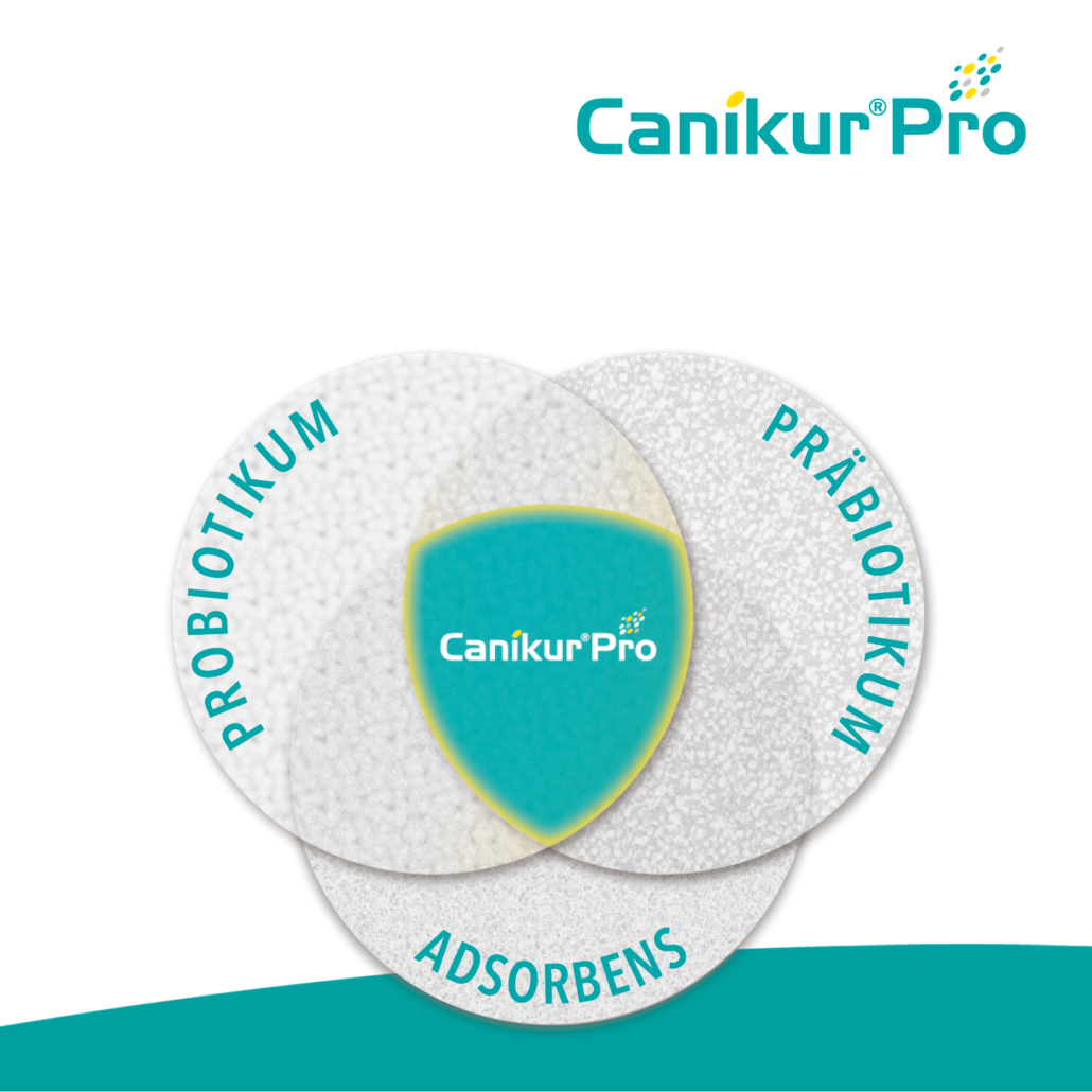 Canikur®Pro Paste für Hunde und Katzen bei und nach akutem Durchfall ...