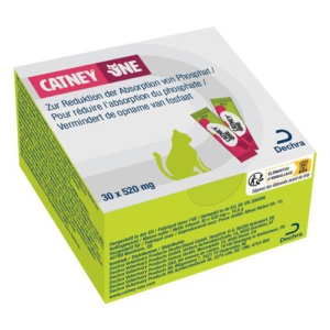 Catney® One Katze – Unterstützung der Nierenfunktion bei CNI
